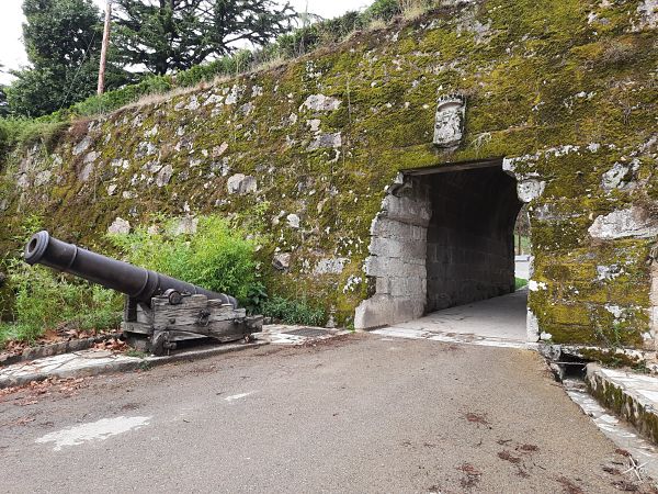 Las 10 mejores cosas que hacer y ver en el monte de O Castro - Vigopeques