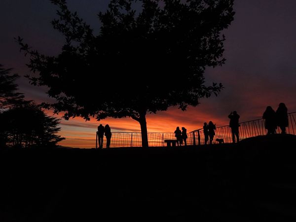 Las 10 mejores cosas que hacer y ver en el monte de O Castro - Vigopeques