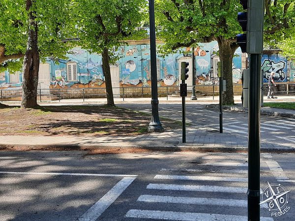 Las 10 mejores cosas que hacer y ver en el monte de O Castro - Vigopeques