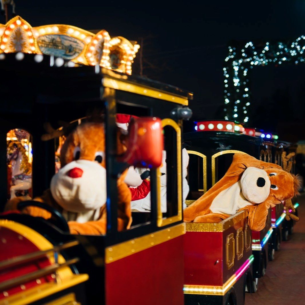 Coimbra Magic Land: El Parque Temático de Navidad Gratuito - Vigopeques